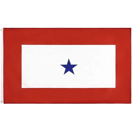 Amazon.com : 3x5 1 Blue Star Son in Service Flag 3 x 5 New Military New ...