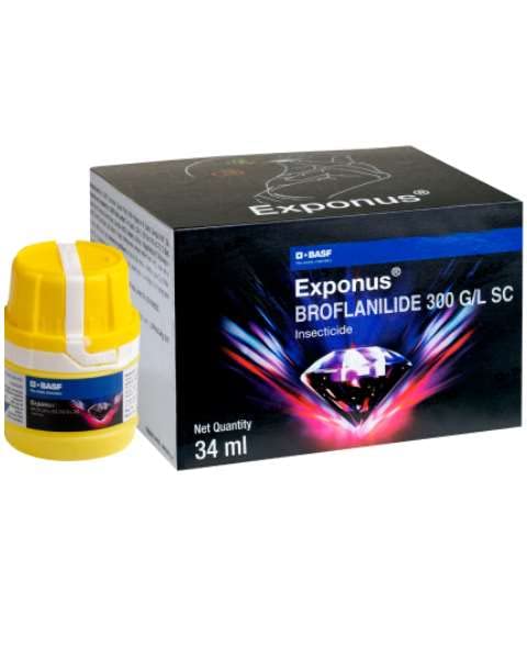 EXPONUS 34ML : Amazon.in: Garden & Outdoors