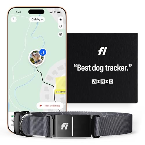 5 Best Smart Dog Collars | 2025