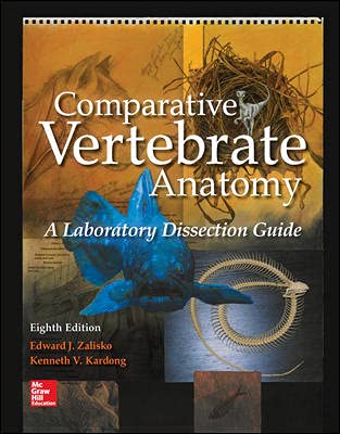 Amazon.com: COMPARATIVE VERTEBRATE ANAT.:LAB..GDE.: 9781260164152 ...