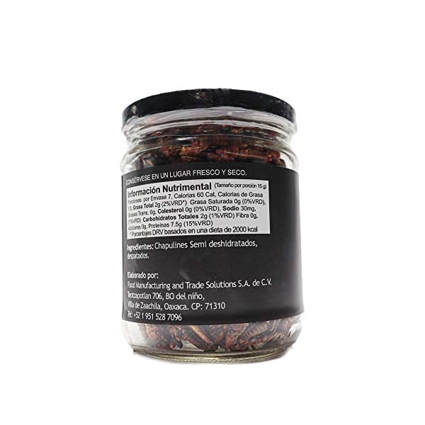 El Sabor de Oaxaca Chapulines naturales PREMIUM, Healthy Snacks, Plain ...
