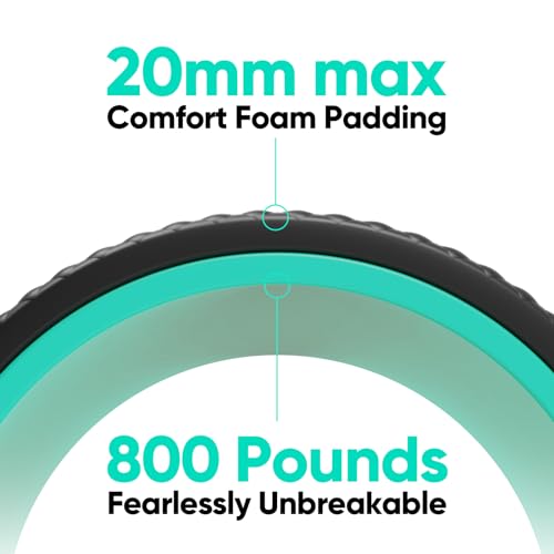Snapklik.com : FitBeast Back Roller - Back Wheel For Deep Tissue ...