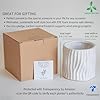 Amazon.com : Wavy Planter Speckled Matte White Ceramic w/ Drainage Hole ...