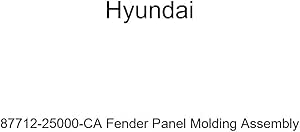 Amazon.com: Genuine Hyundai 87712-25000-CA Fender Panel Molding ...