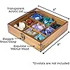 Amazon.com: Curawood Rock Display Case - 8" x 8" Rock Collection Box ...