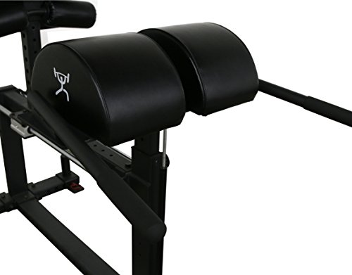 CFF “Pro Series Elite” Heavy Duty Linear Bearing GHD(GHR) Black – Glute ...