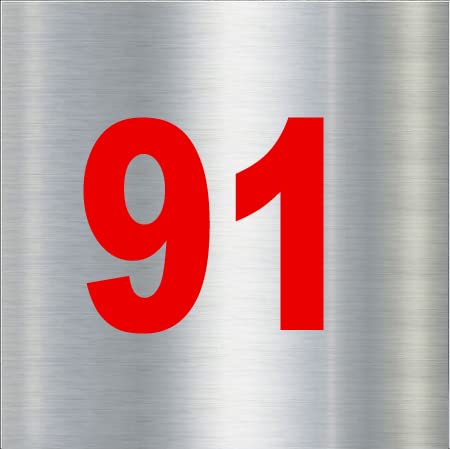 SRGInfotech Number Plate 91 Silver Brushed Type Acrylic Number Plate ...