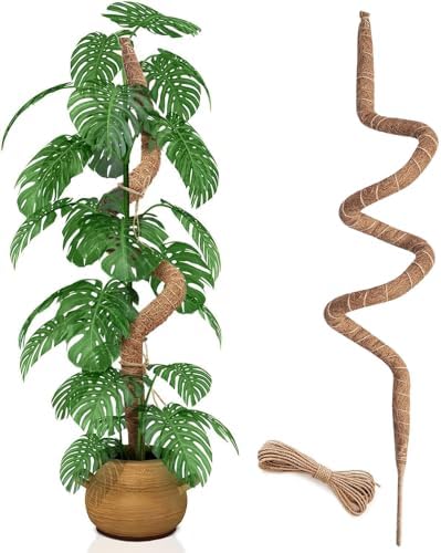 Amazon.com: Glory Island 63 Inch Moss Pole Monstera Plant Support, Coir ...