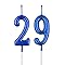 Amazon.com: 29th & 92nd Birthday Candles, Champagne Gold Number 29 92 ...