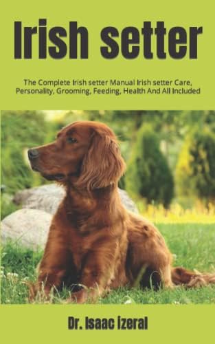 When Should I Take My Irish Setter Grooming