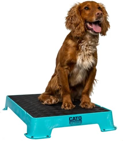Pet Supplies : Cato Board - Dog Training Platform (Teal, Rubber Surface ...