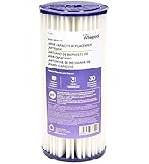 Amazon.com: Whirlpool Whole House Pleated Water Filters WHKF-WHPL, Full ...