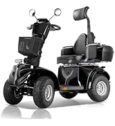 Amazon.com: Enclosed Mobility Scooter for Seniors, All-Weather 4 Wheel ...