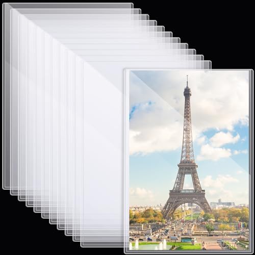Amazon.com: Henoyso 12 Pcs Poster Protector Sleeve 18 x 24 Inch Clear ...