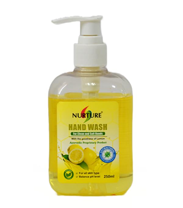 Liquid Hand Wash 250ml : Amazon.in: Beauty