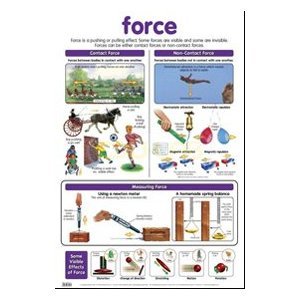 Physical Science: Force: Let's Look: 9781919736136: Amazon.com: Books
