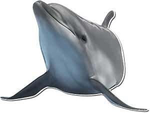Amazon.com: Dolphin Nose Up 8 inch Static Cling : Everything Else