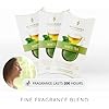 Amazon.com: Luminara Fragrance Diffusing Pods - Set of 3 (White Tea ...