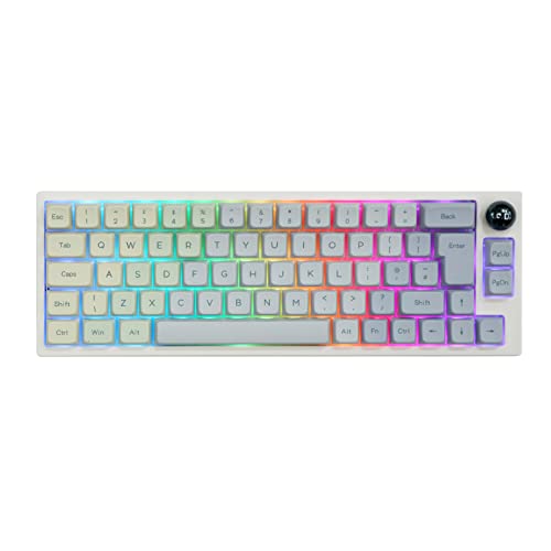 EPOMAKER TH66 Pro ISO UK Layout 65% Hot Swappable RGB 2.4Ghz/Bluetooth ...