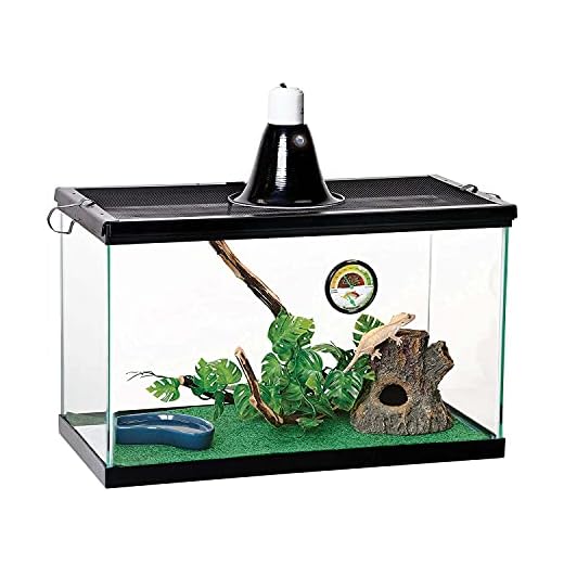 5 Best Leopard Gecko Tanks – Creating the Perfect Habitat – Reptiles Time