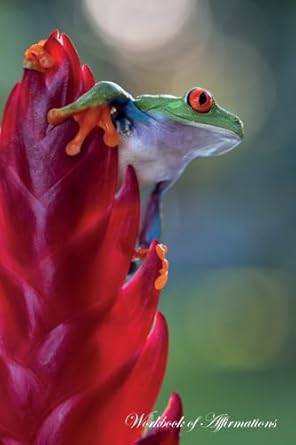 Red Eyed Tree Frog Workbook of Affirmations Red Eyed Tree Frog Workbook ...