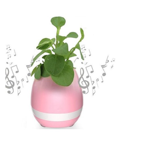 SuperDaze Music Flower Pot Music Flowerpot,Smart Plant pots,Touch Music ...