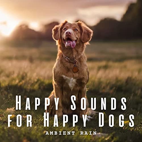 Play Ambient Rain: Happy Sounds for Happy Dogs by Sounds Dogs Love ...