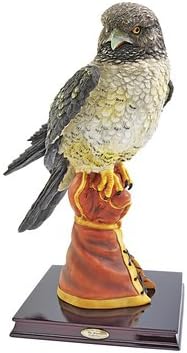 Amazon.com: Majestic Falcon Bird Statue : Home & Kitchen