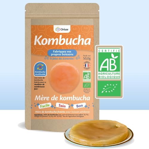Comment faire du kombucha maison