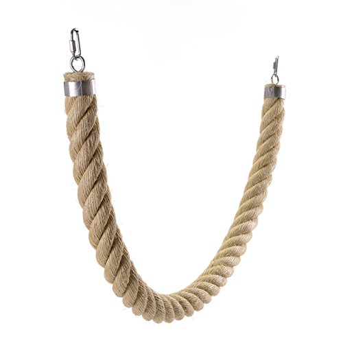 Die 16 besten Kletterseile für Vögel