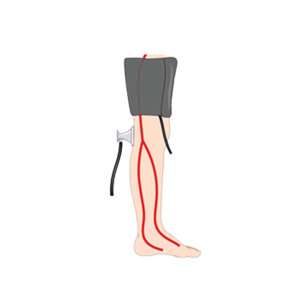 Manual Bp On Leg
