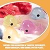 Amazon.com: Sosoport 60 Pcs Luminous Ornaments Animal Models Tiny Seal ...