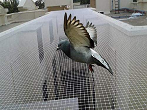 Attachh Net/Anti Birdnet/Pigeon Net/Garden Net/Bird Control Net UV ...