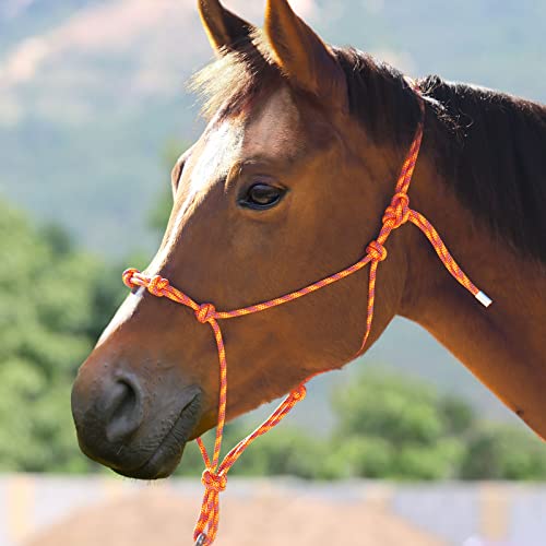 Snapklik.com : Harrison Howard Rope Halters For Horses Super Sturdy ...