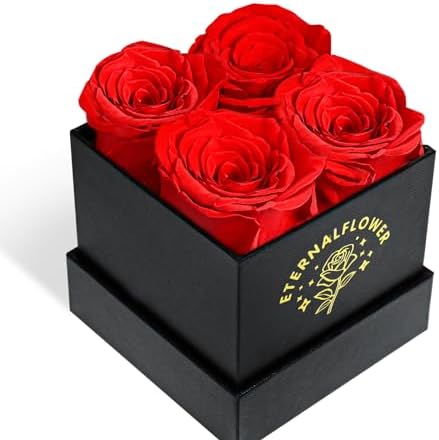 Amazon.com: GLAMOUR BOUTIQUE Eternal Preserved Roses in a Box - Flowers ...