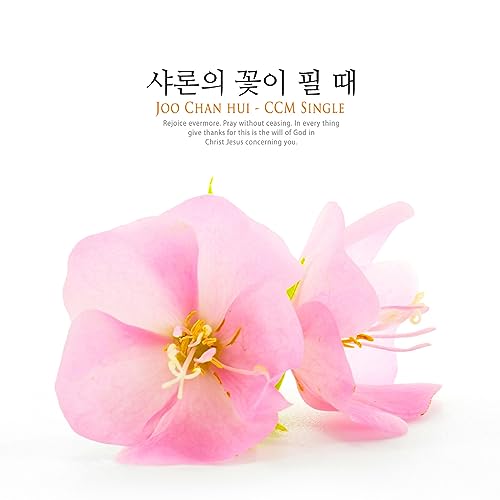 When Sharon blooms by Joo Chanhui on Amazon Music - Amazon.com