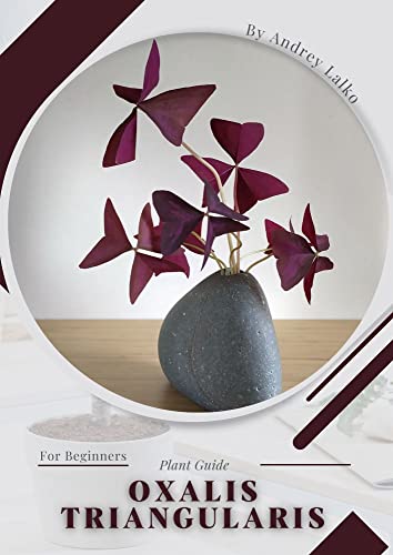 Amazon.com: Oxalis triangularis: Plant Guide eBook : Lalko, Andrey ...