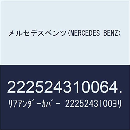 Amazon.co.jp: メルセデスベンツ(MERCEDES BENZ) エアサスコンプレッサーフイルター 222524310064 ...