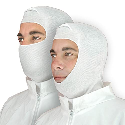 Top 10 Best All Around Paint Sprayer : Reviews & Buying Guide - Katynel