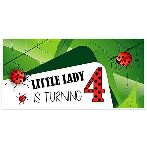Amazon.com: Little Ladybug Personalized 4th Birthday Banner : Home ...