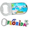 Amazon.com: Florida State Magnets Souvenirs 12‑Pack Bulk, Miami Orlando ...
