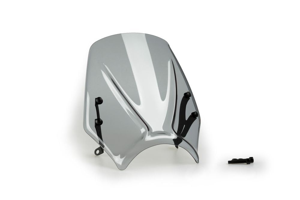 Snapklik.com : WINDSHIELDS N.G.SPORT TRIUMPH TRIDENT 660 21