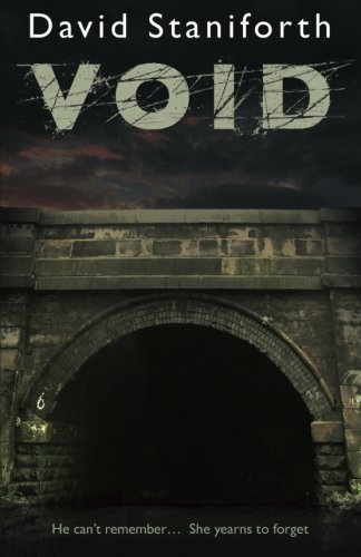 Void: Staniforth, David, Staniforth, David: 9781523673360: Amazon.com ...