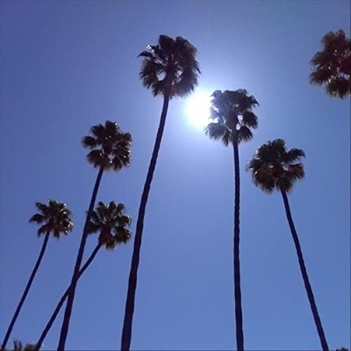 Play New to You by Daniel Blackmon on Amazon Music Unlimited