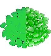 Amazon.com : NAMTSO Glow in The Dark Rocks Outdoor, 500pcs Blue Glow ...