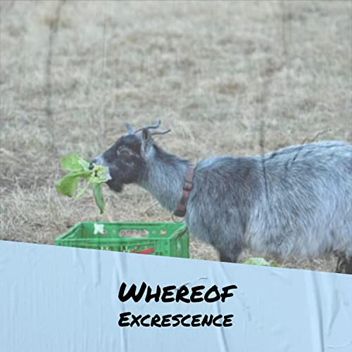 Play Whereof Excrescence by VARIOUS ARTISTS on Amazon Music