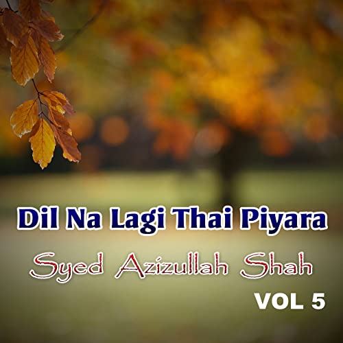 Play Dil Na Lagi Thai Piyara, Vol. 5 by Syed Azizullah Shah on Amazon Music