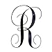Amazon.com: 22 Inch Metal Script Letter R Door or Wall Hanging : Home ...