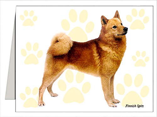 Amazon.com: Finnish Spitz Note Cards : Office Products