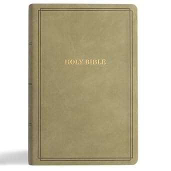 KJV Large Print Personal Size Reference Bible, Sage Suedesoft ...